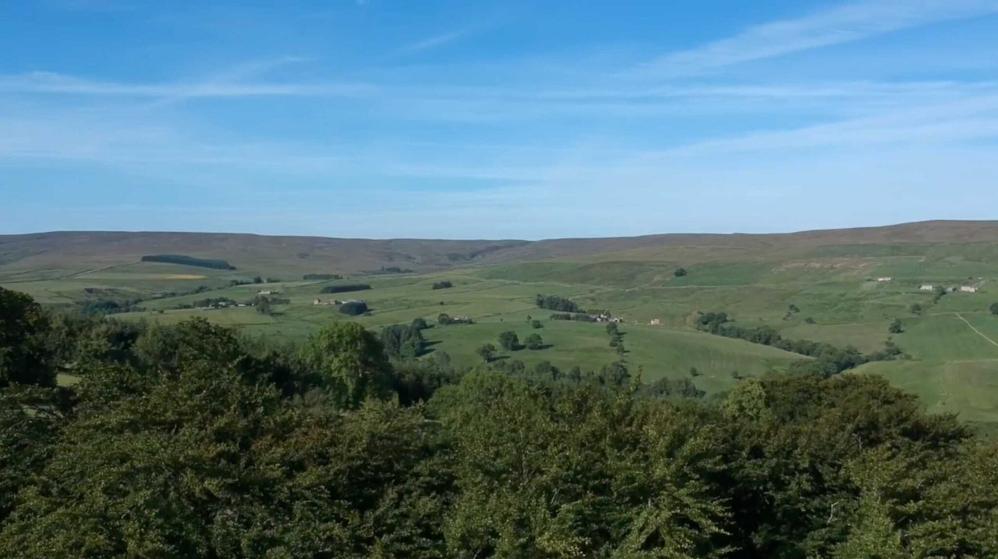 Allendale Golf Club | Home of Golf in the Wild